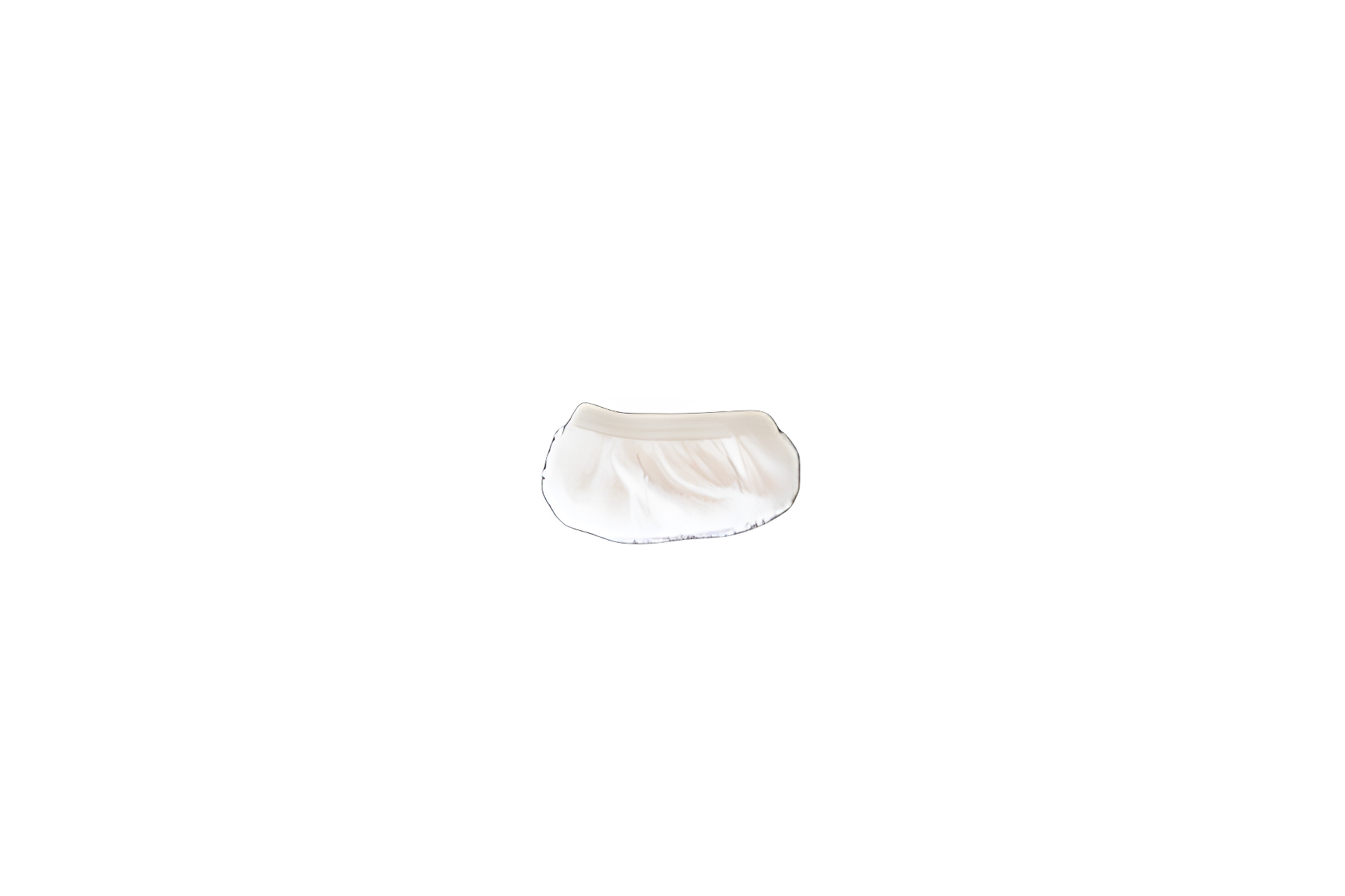 Royal Cloth Cleaning Pad Small Vacuum #440001017